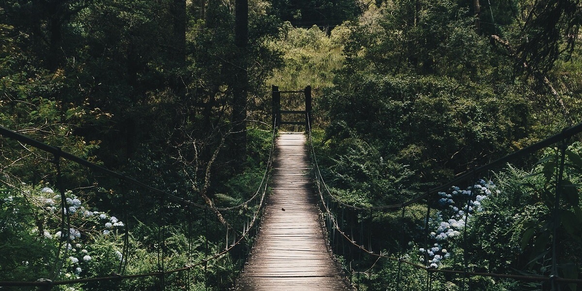 Thrive: Your agency growth partner